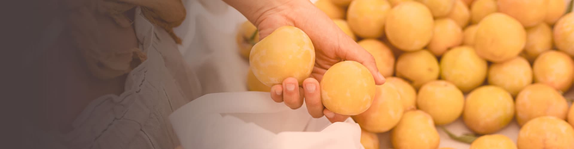 CEMAS Magazine 13 – CEMAS