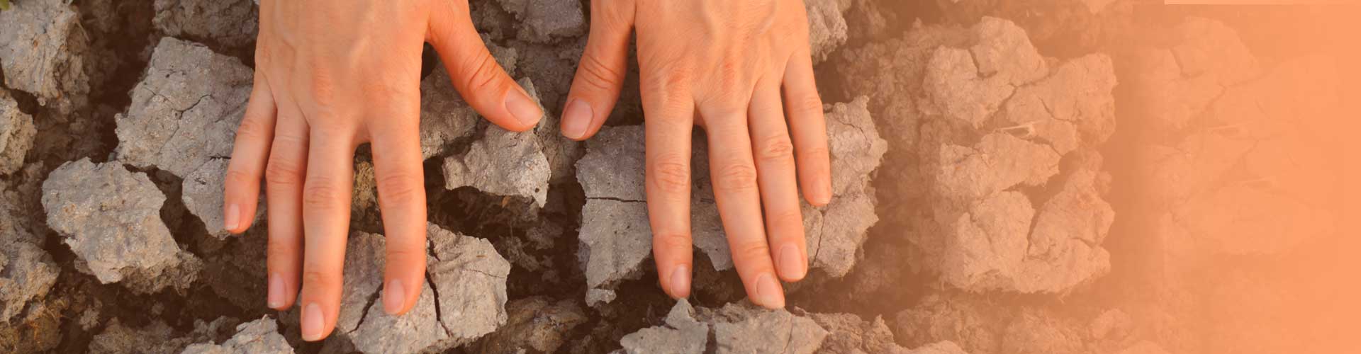 CEMAS Magazine 16 - CEMAS